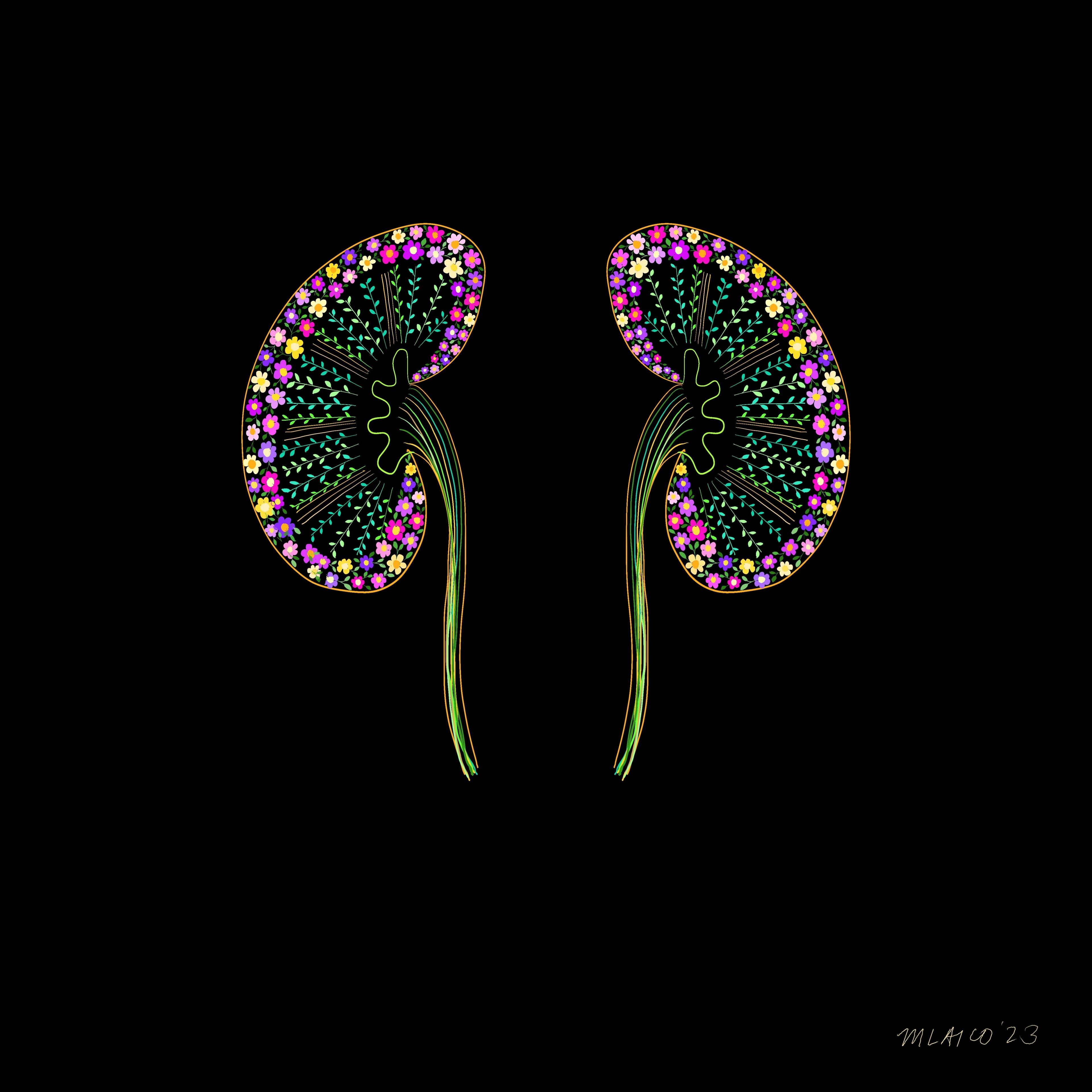 NDT Kidney Art Gallery | ERA