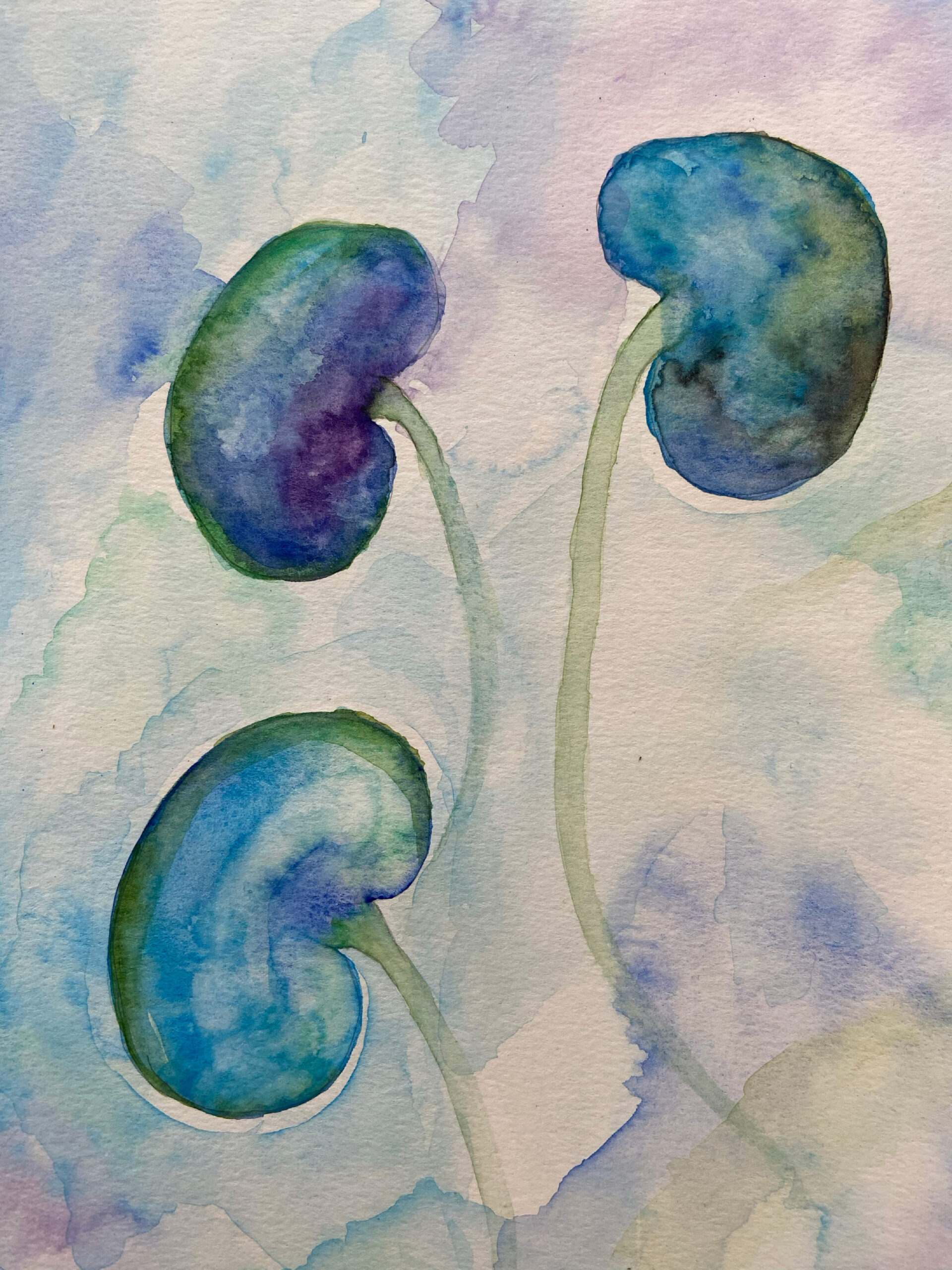 NDT Kidney Art Gallery | ERA