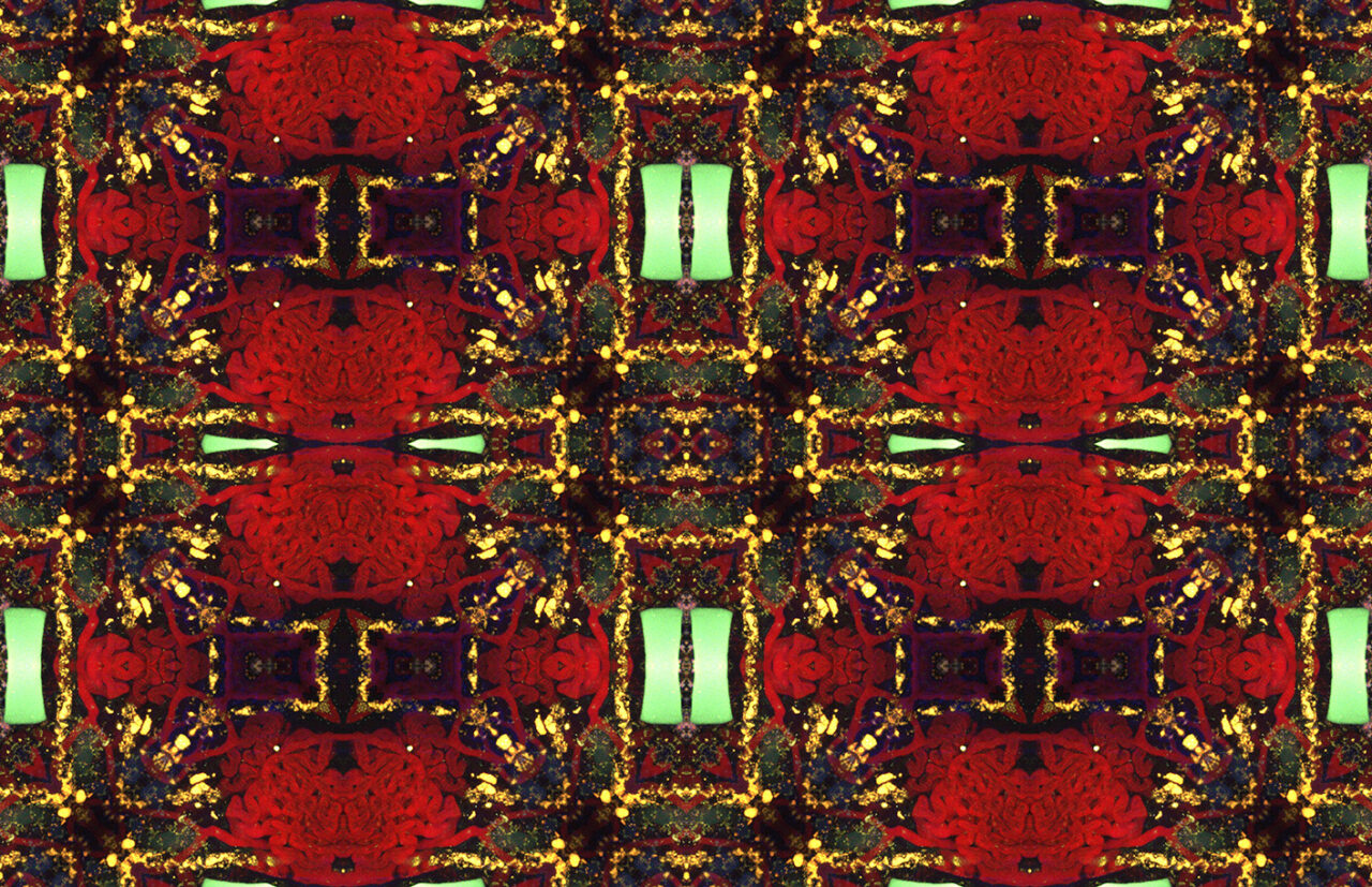 NDT Kidney Art Gallery | ERA