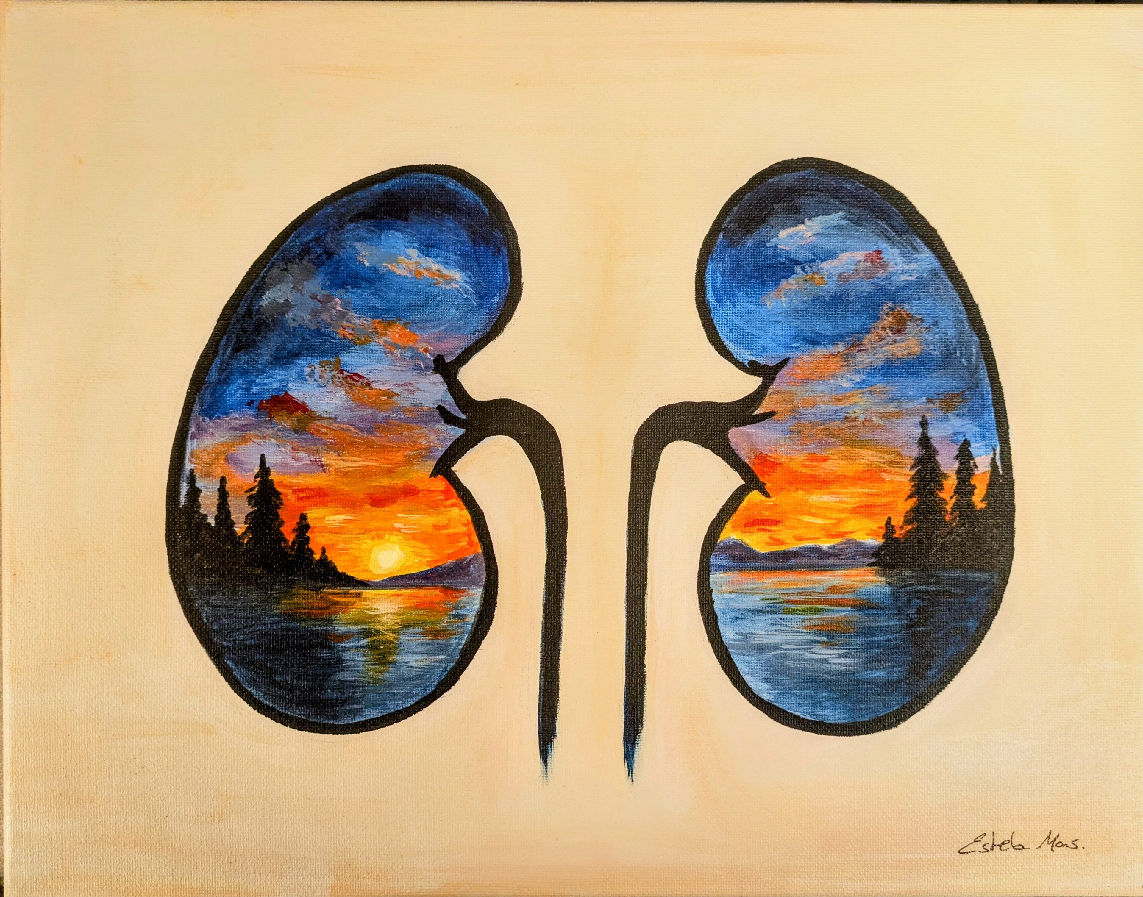 NDT Kidney Art Gallery | ERA